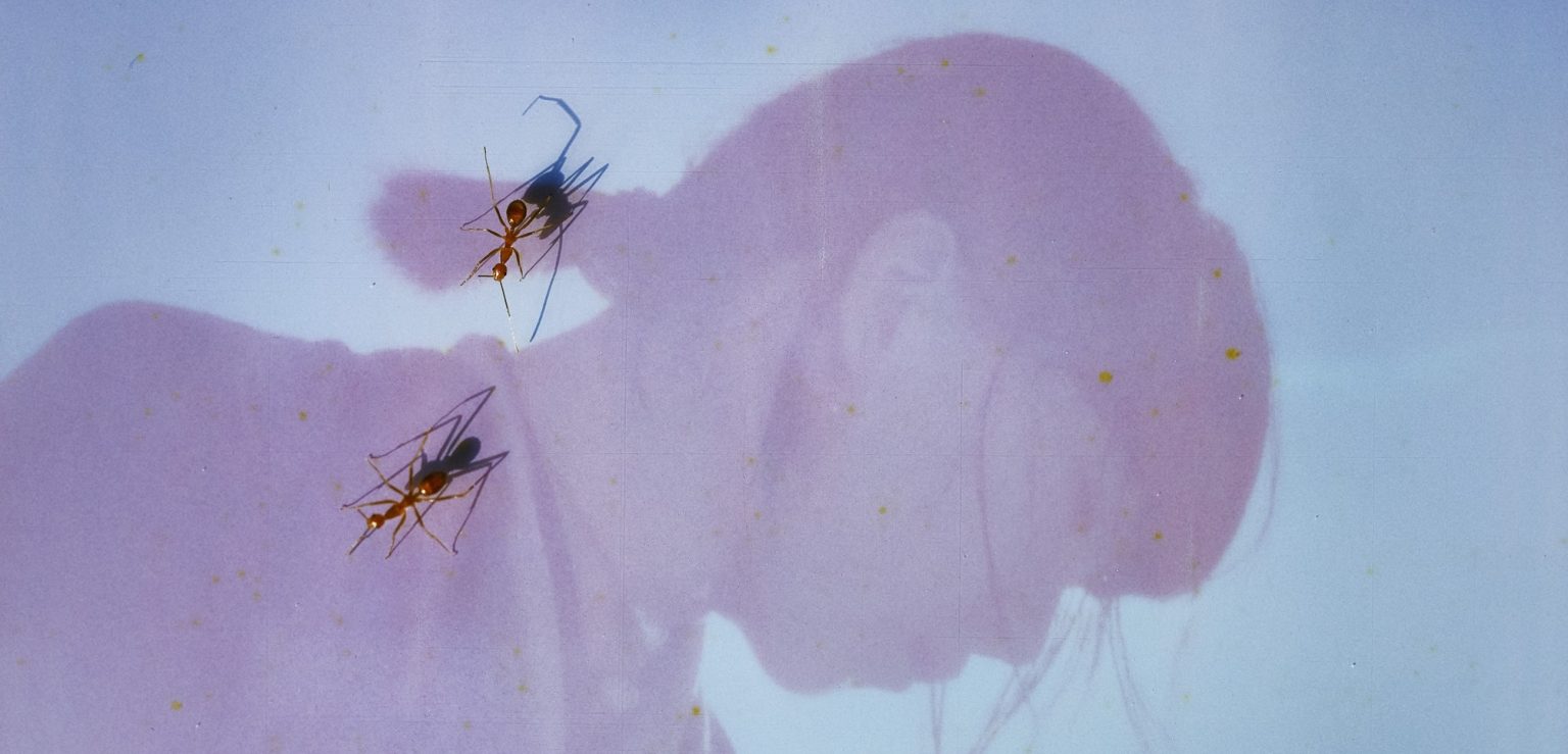 Ichiko Aoba estrena el tema "FLAG" - Mr Indie