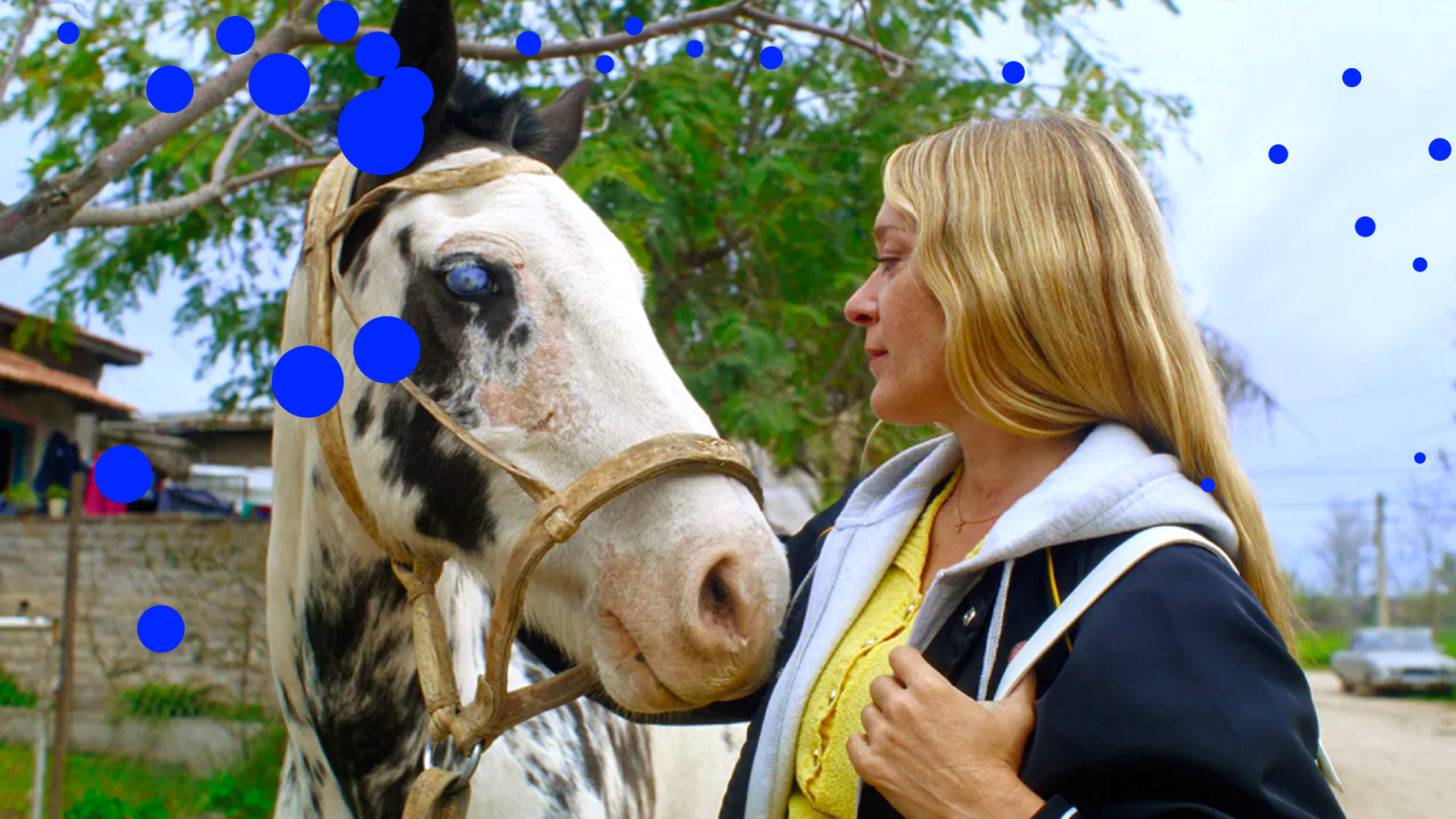 MUBI FEST 2025 anuncia fechas para CDMX - Mr Indie